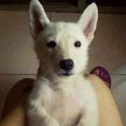 CSS常见样式2 | YQY